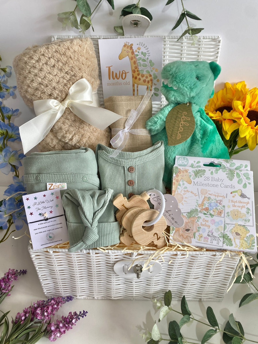 Baby Boy Hamper Basket - Snuggly Little Dragon – Pink and Blue Hampers