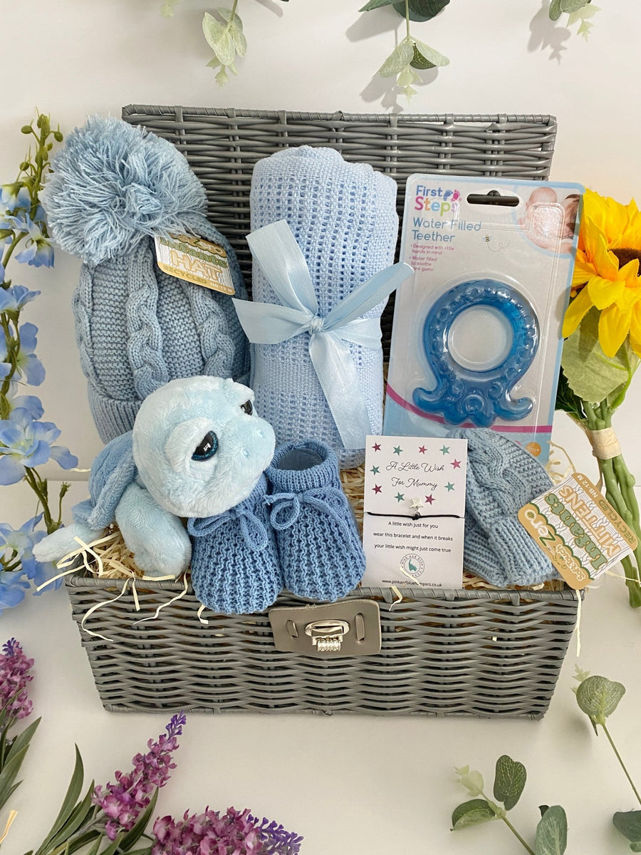 Baby Boy Hamper - Tiny Turtle – Pink and Blue Hampers