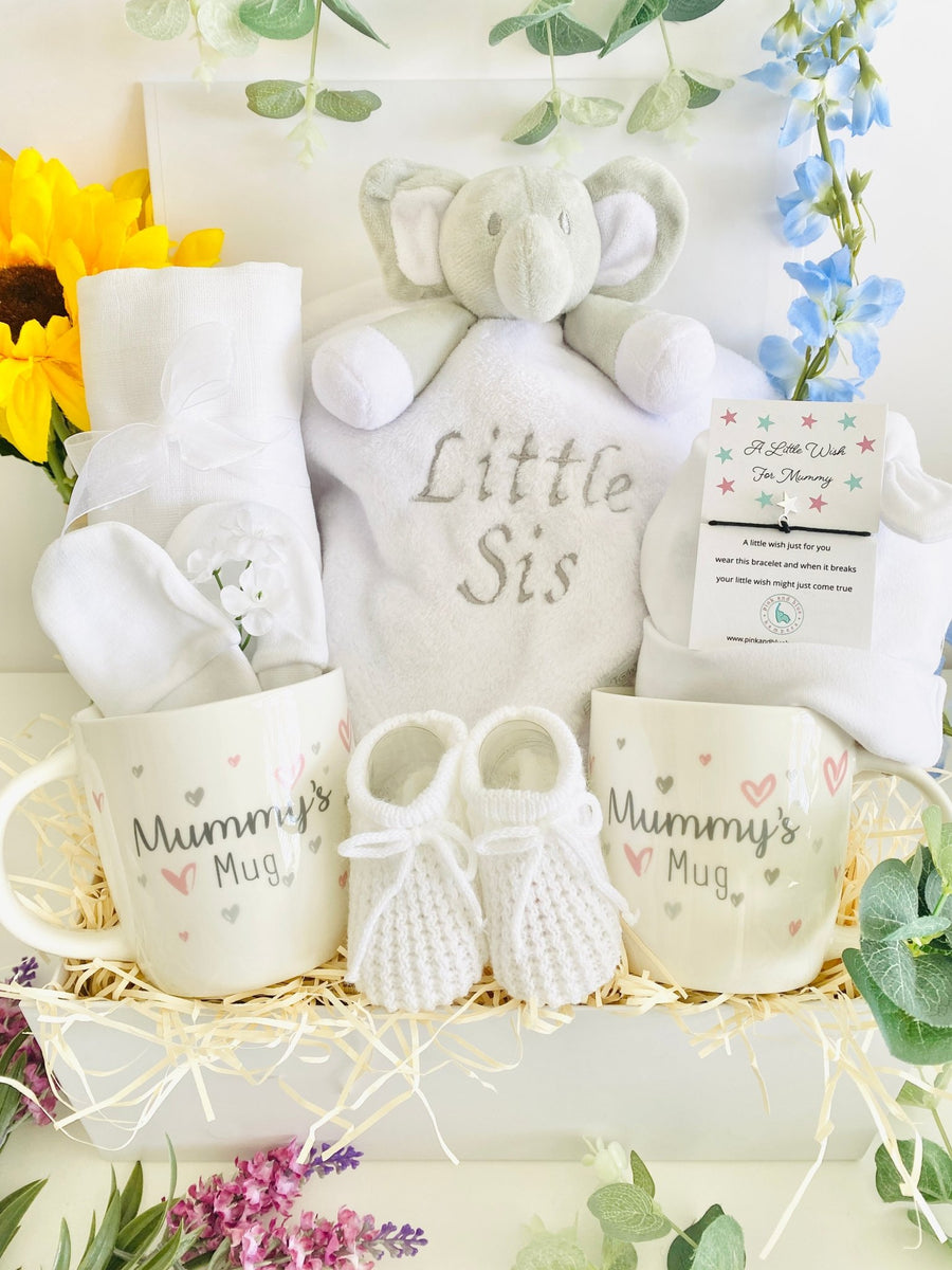 Baby Hamper For Two Mummies - Sweet Baby – Pink and Blue Hampers